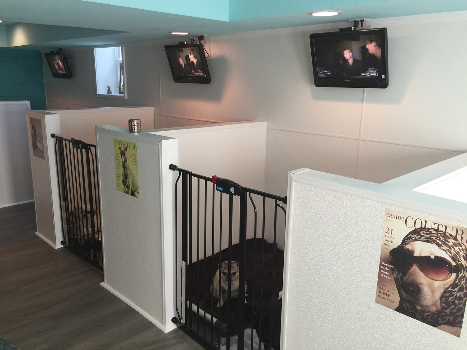 hotel1 | Zen Dog Mobile Spa
